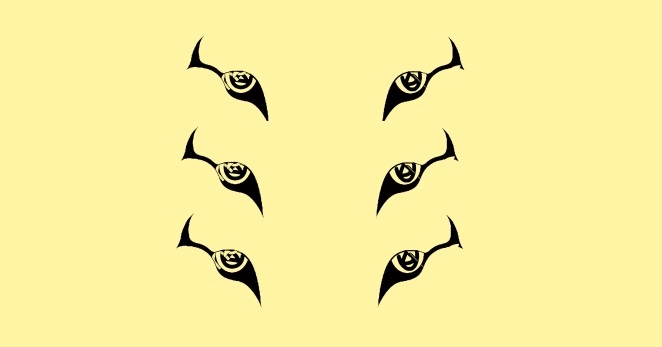 El diletante - Aficiones extrañas